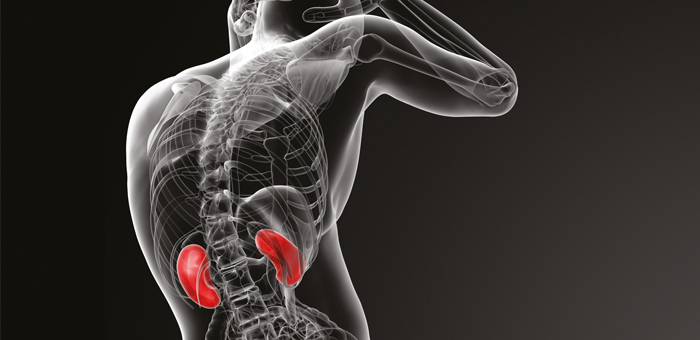 VITROS® XT 7600 Integrated System